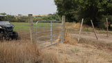 Buy Wrangler Ride Over Gate | Valley Implement